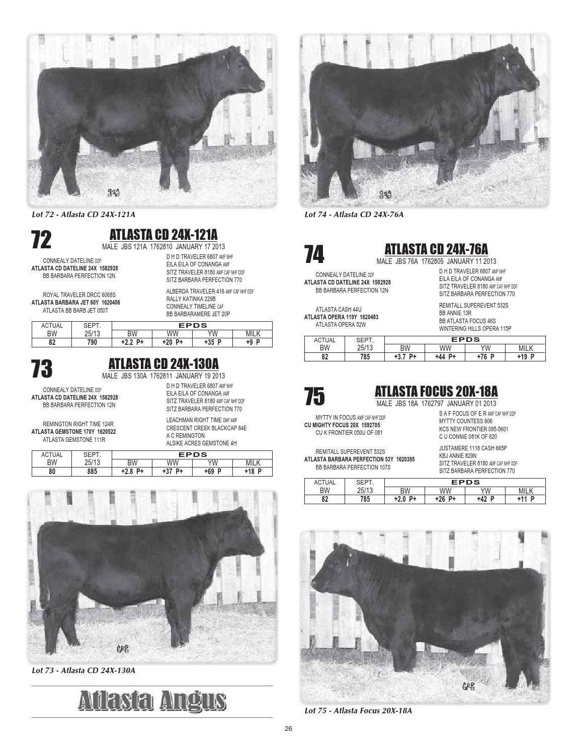Atlasta Angus Bull & Seriously Black Female Sale 2013 by Everything ...