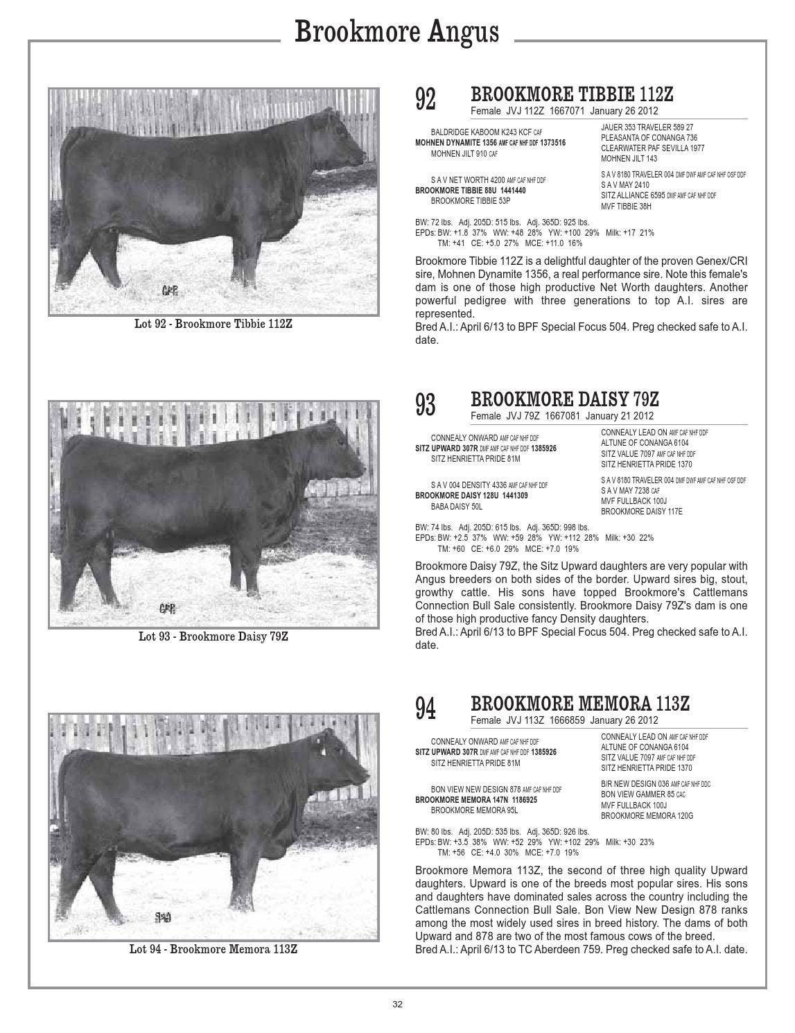 Atlasta Angus Bull & Seriously Black Female Sale 2013 by Everything ...