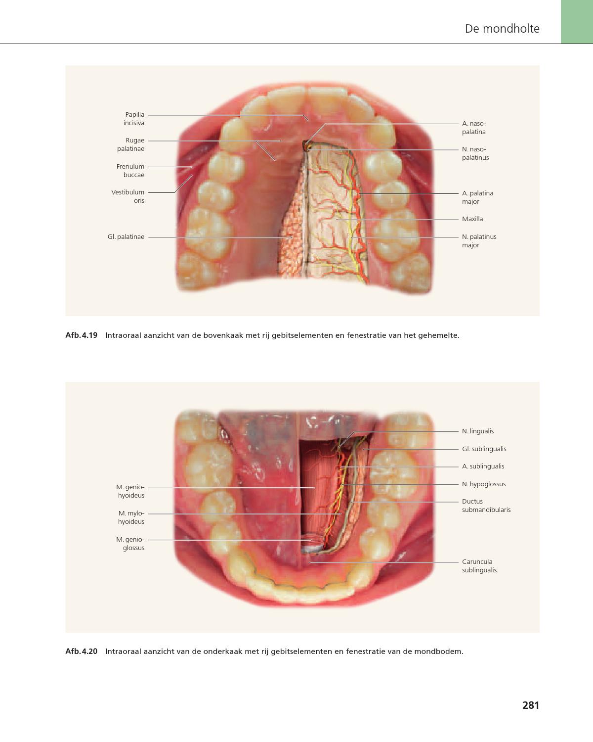 Het gezicht by Prelum - Issuu