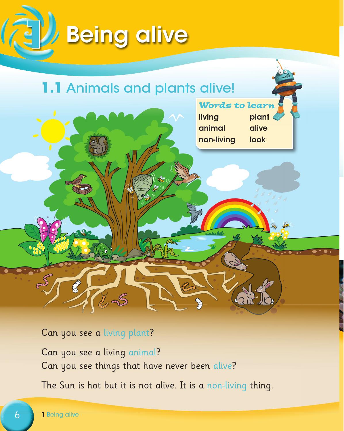 Cambridge Primary Science Learners Book 1 by Cambridge International ...