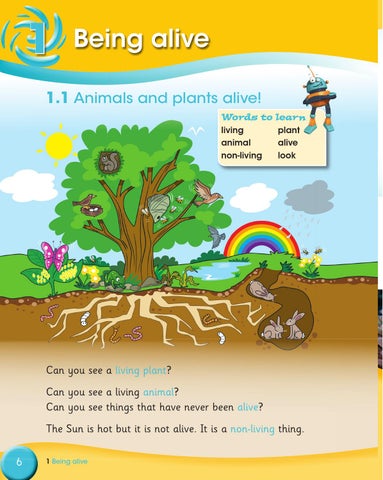 Cambridge Primary Science Learners Book 1 by Cambridge International ...