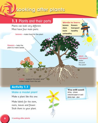 Cambridge Primary Science Learner's Book 3 by Cambridge International ...