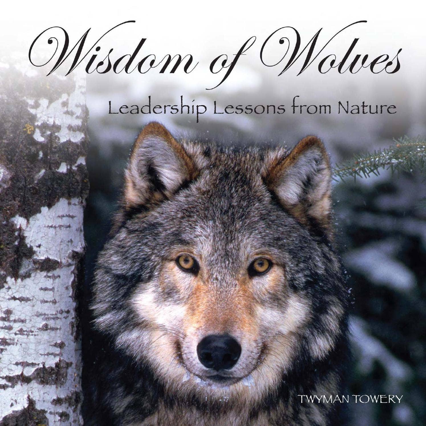 Simple Truths: The Wisdom of Wolves by Sourcebooks - Issuu