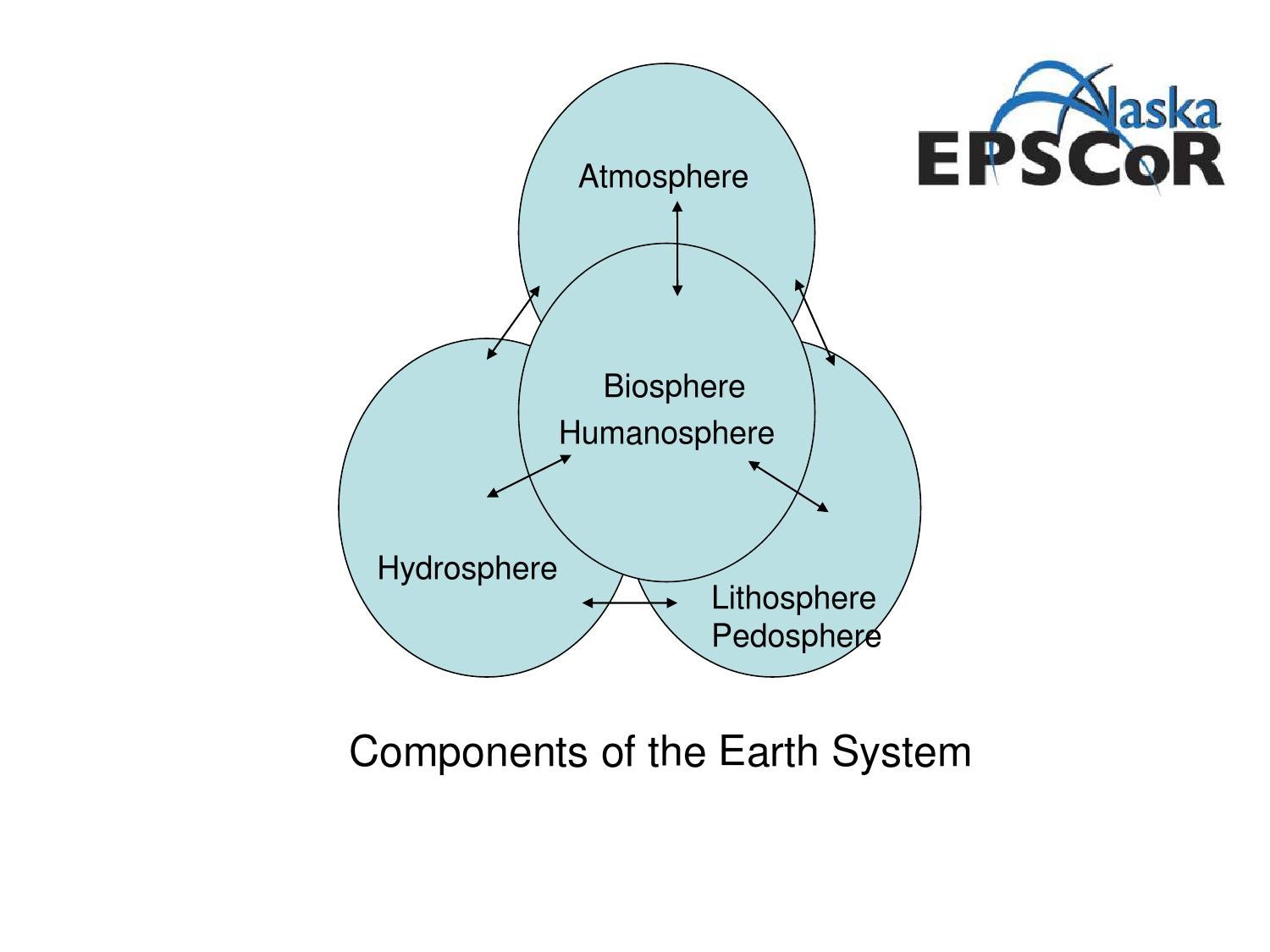 Elena sparrow eod by University of Alaska Fairbanks - Issuu