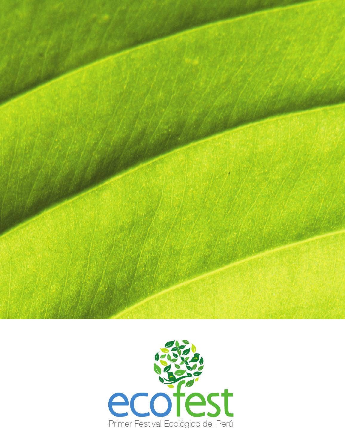 Brochure EcoFest by BeDesign - Issuu
