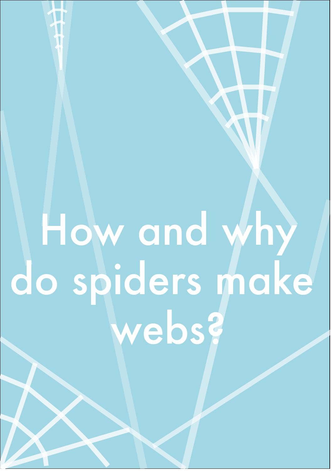 How and Why Do Spiders make Webs? by Change your Password - Issuu