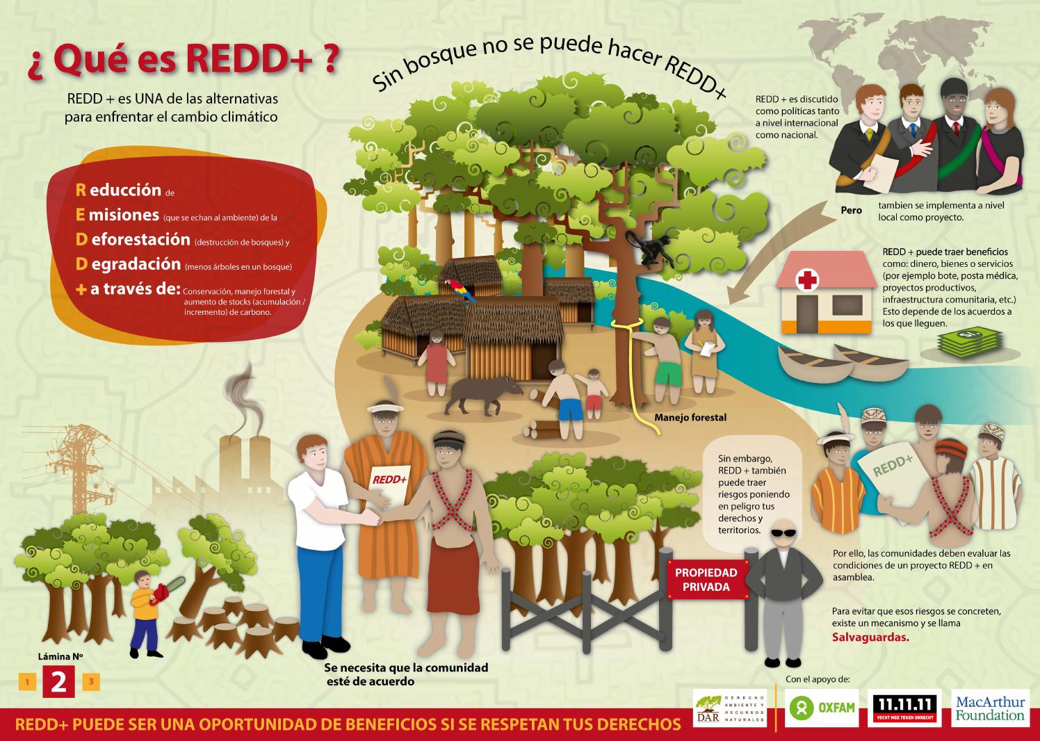 ¿Qué es REDD+? by DAR Perú - Issuu