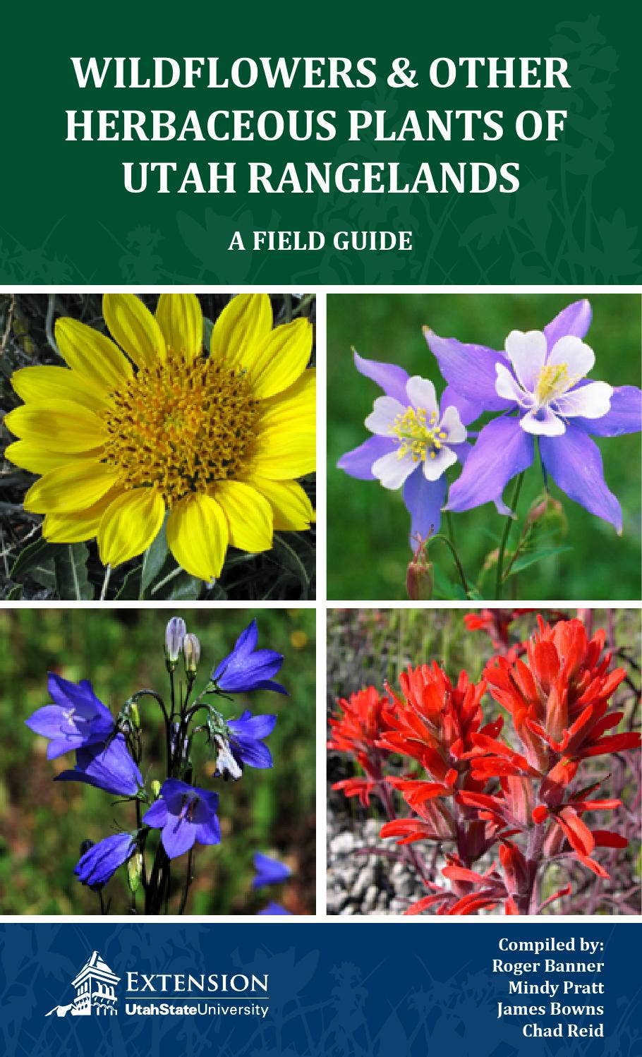 Wildflowers and Other Herbaceous Plants of Utah Rangelands by Utah ...