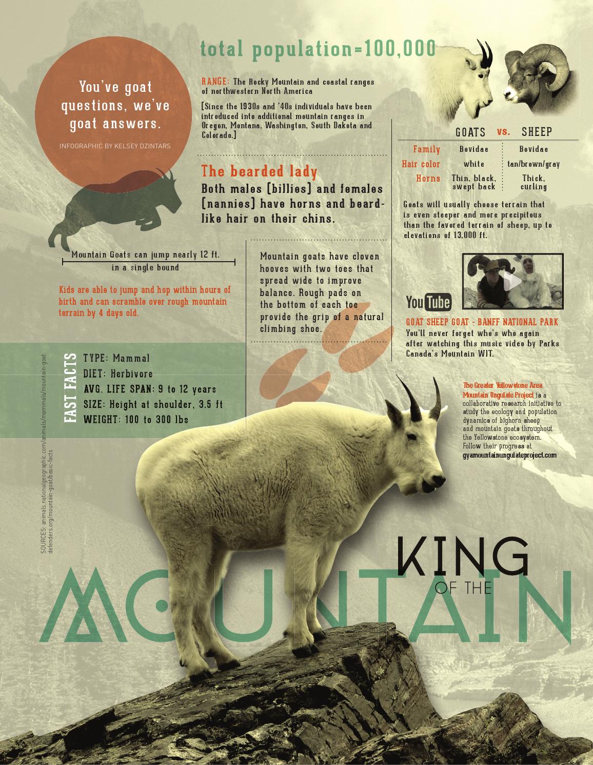 Mountaingoat infographic print by Outlaw Partners - Issuu