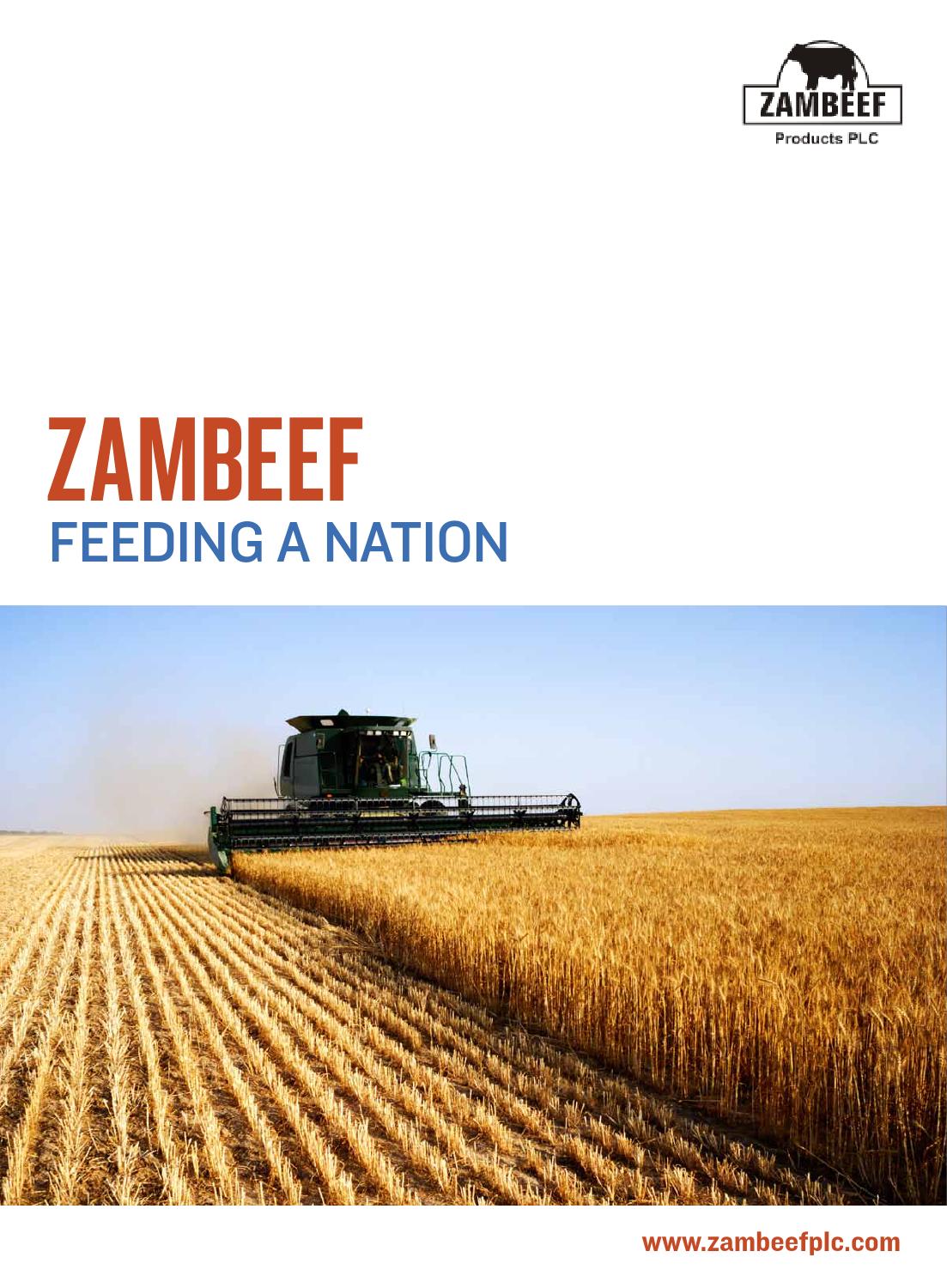 Zambeef Africa Food & Drink Jan14 bro by Business Excellence Magazine ...