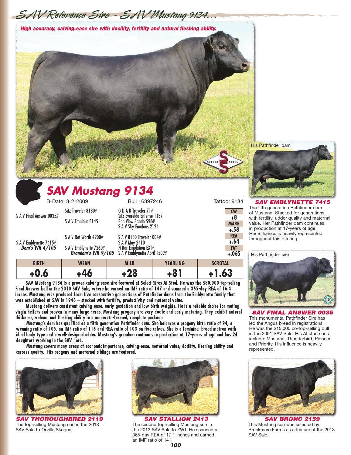 Schaff Angus Valley - 111th Production Sale by LivestockDirect - Issuu