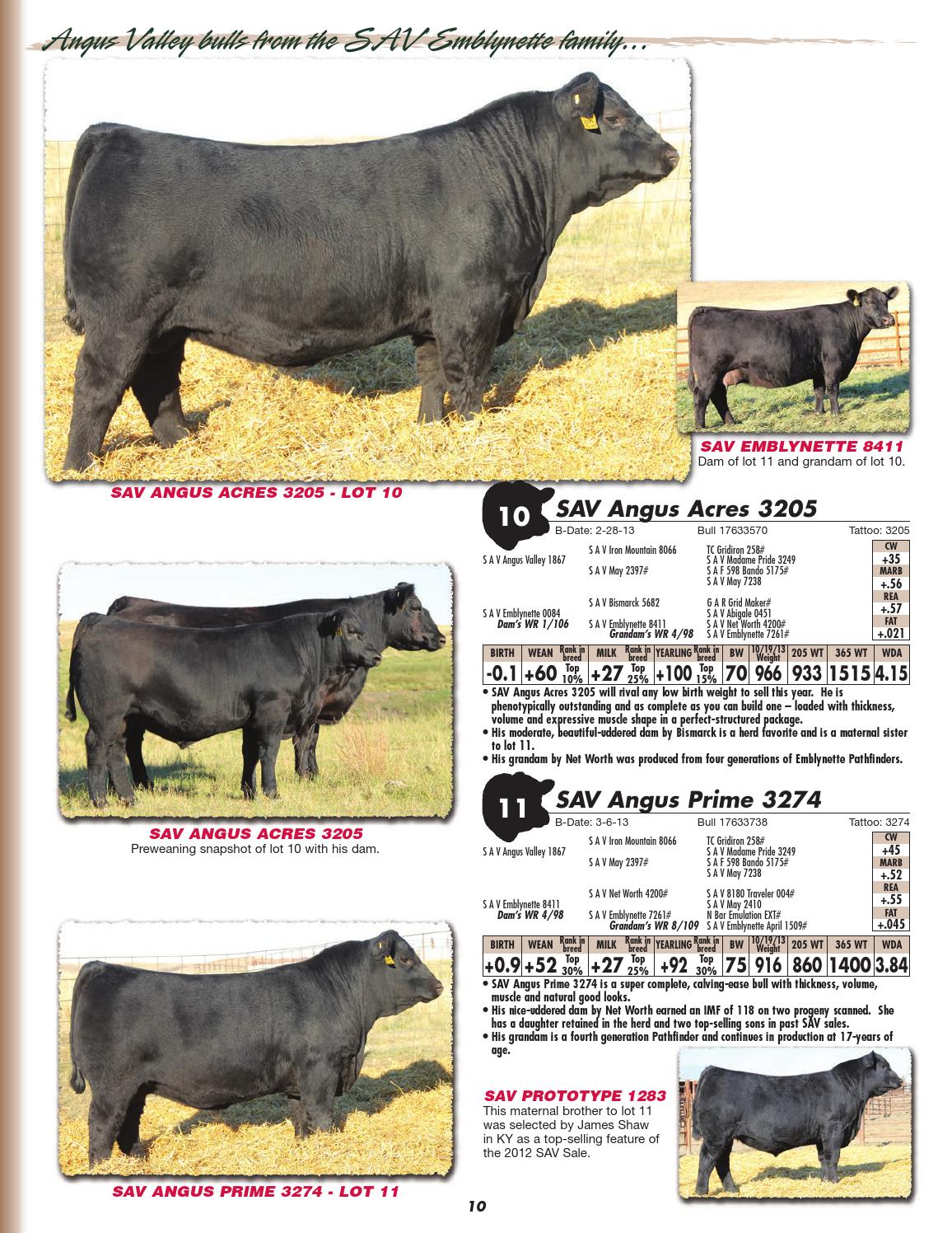 Schaff Angus Valley - 111th Production Sale by LivestockDirect - Issuu