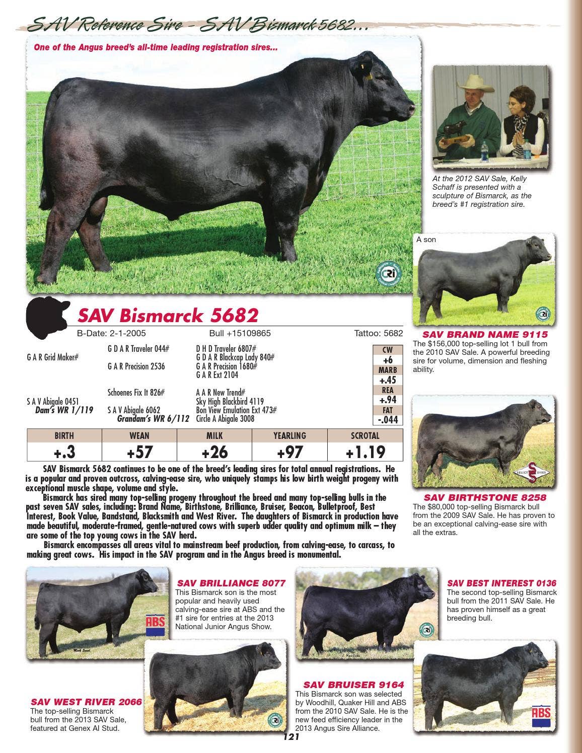 Schaff Angus Valley - 111th Production Sale by LivestockDirect - Issuu