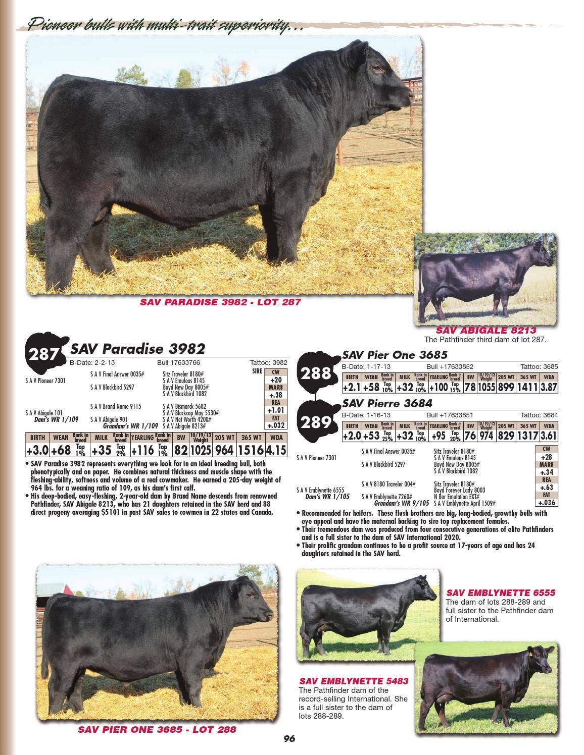 Schaff Angus Valley - 111th Production Sale by LivestockDirect - Issuu