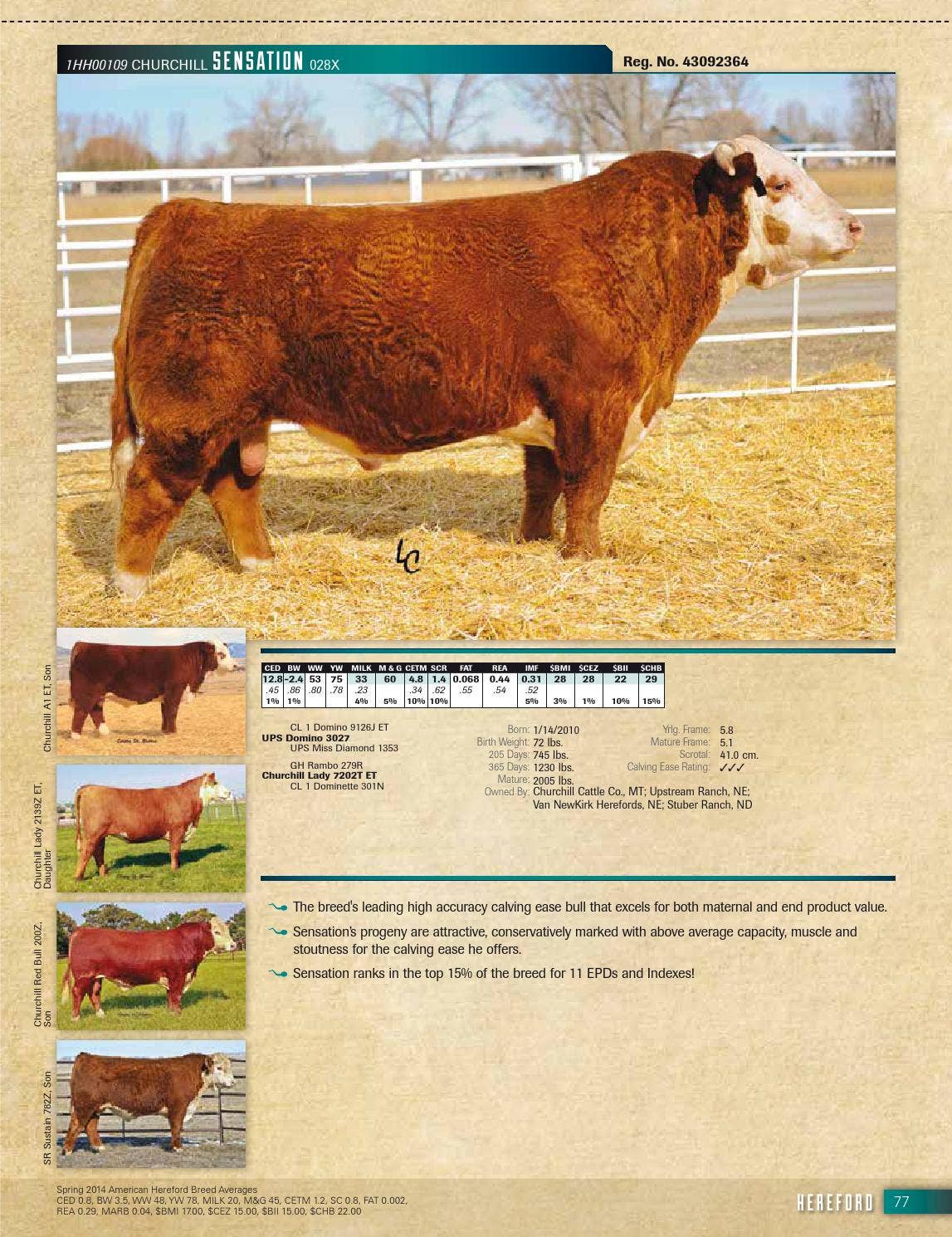 2014 Genex Beef Management Guide by GENEX - Issuu