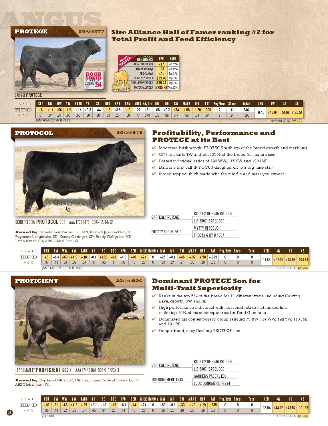 ABS Spring 2014 Beef Sire Directory by ABS Global, Inc. - Issuu