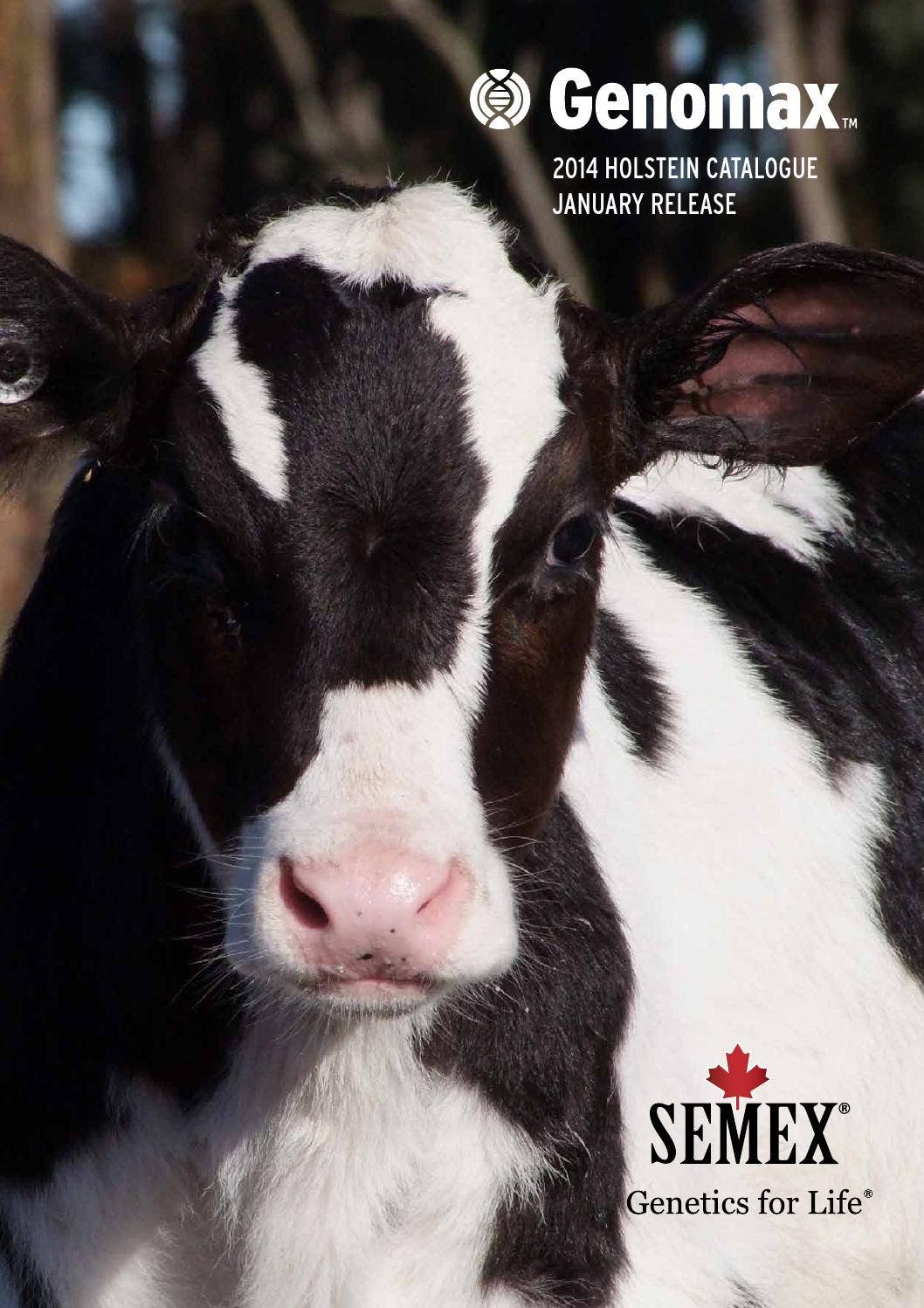 Semex Australia January 2014 Holstein Genomax New Release Catalogue by ...