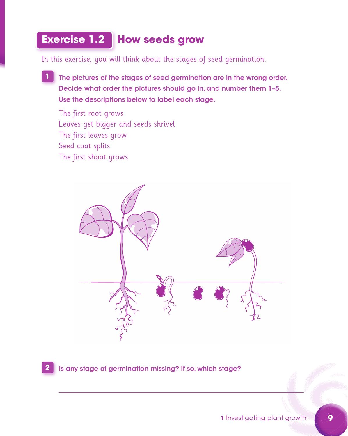 Cambridge Primary Science Activity Book 5 by Cambridge University Press ...