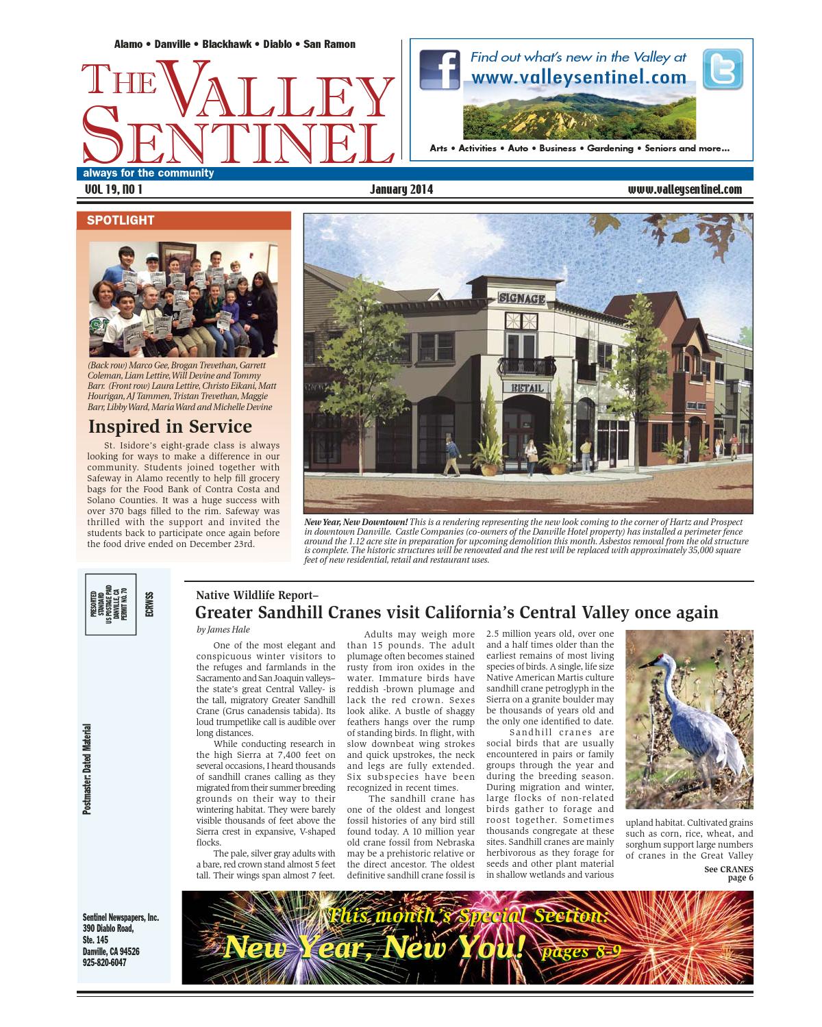 The Valley Sentinel January 2014 by Sentinel Newspapers - Issuu
