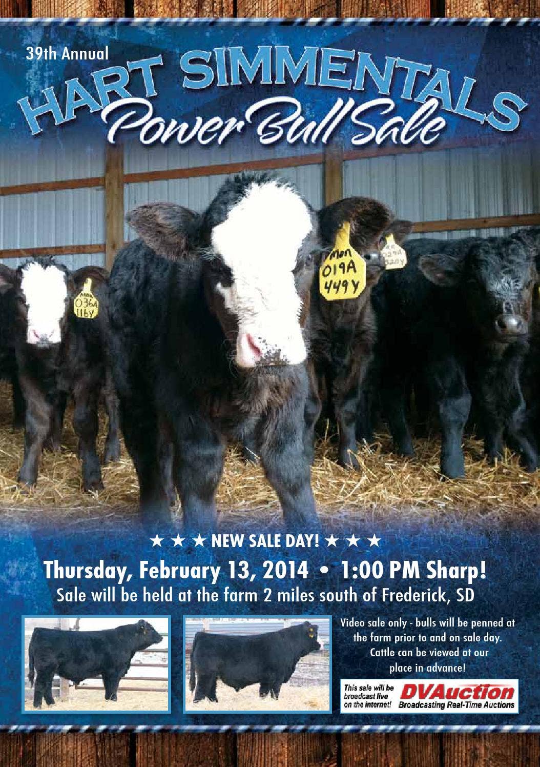 Hart Simmental Bull Sale 2014 by Eberspacher Enterprises - Issuu