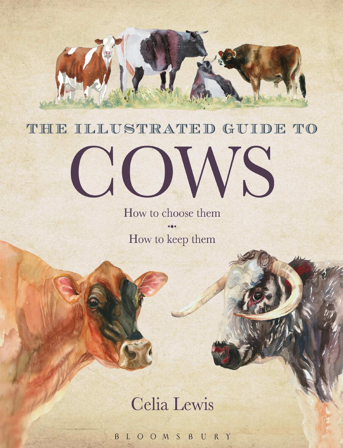 Illustrated Guide to Cows sample by Bloomsbury Publishing - Issuu
