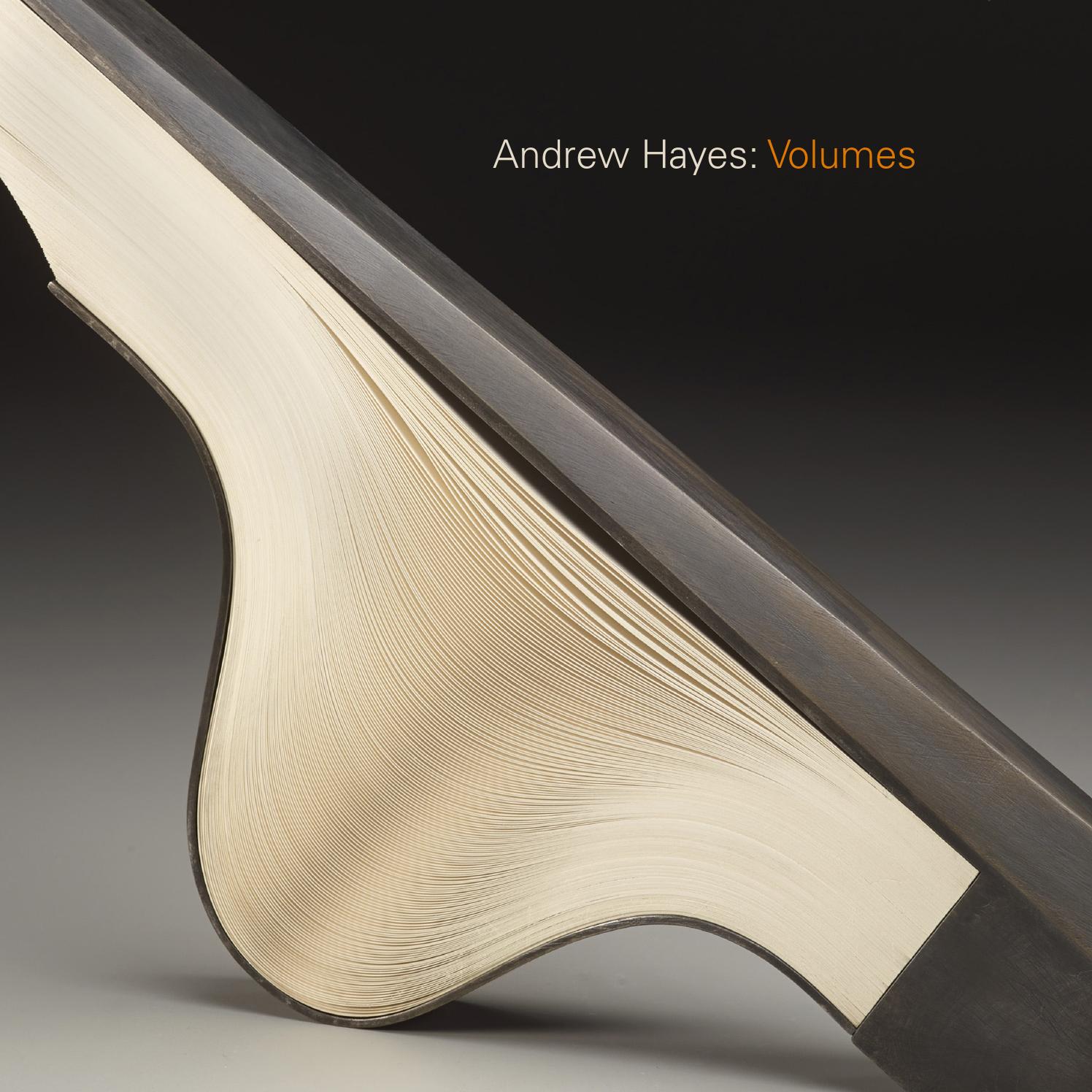 Andrew Hayes: Volumes, Seager Gray Gallery by Seager Gray Gallery - Issuu