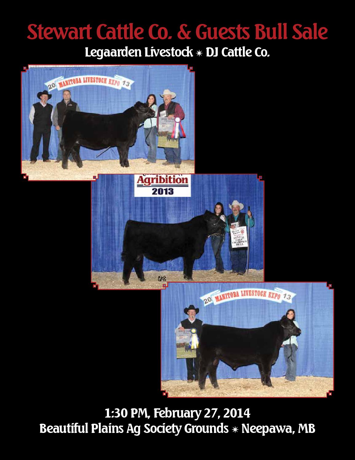 Stewart Cattle Co. & Guests by Cattle In Motion, LLC - Issuu