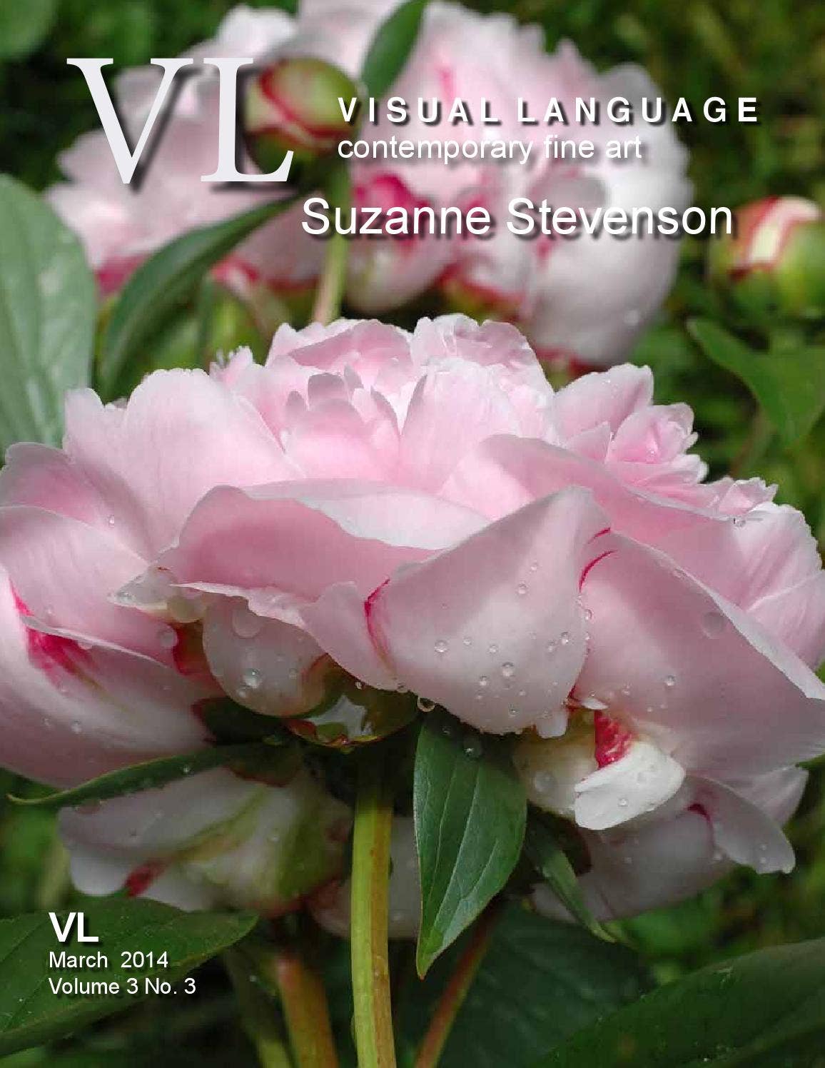 Suzanne Stevenson Photography Visual Language March 2014 Vol 3 No 3 by ...