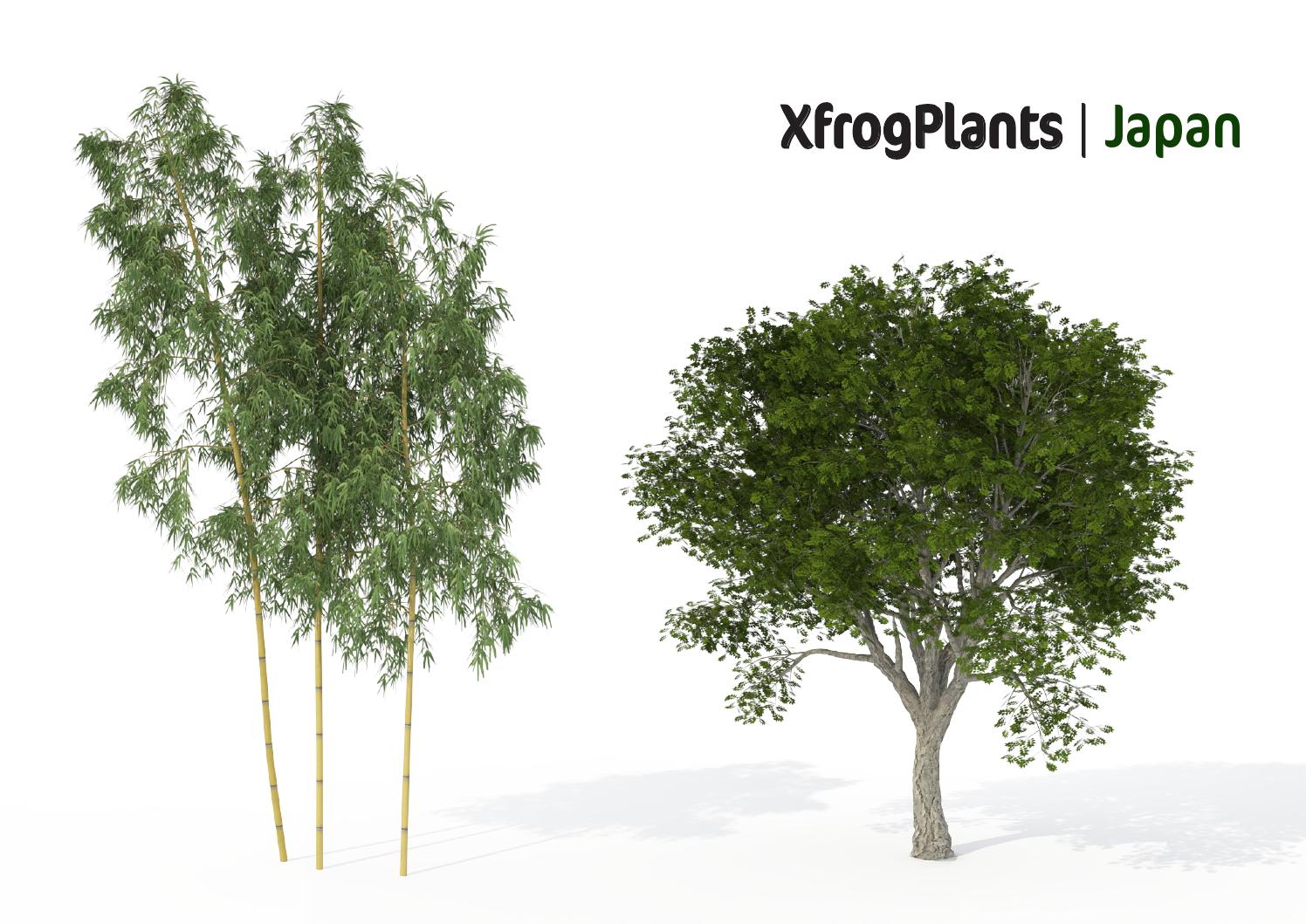 /Japan_XfrogPlants_CI by XFROG - Issuu