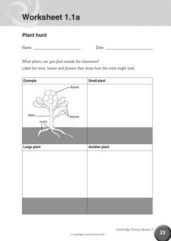Cambridge Primary Science Teacher's Resource Book 3 with CD-ROM by ...