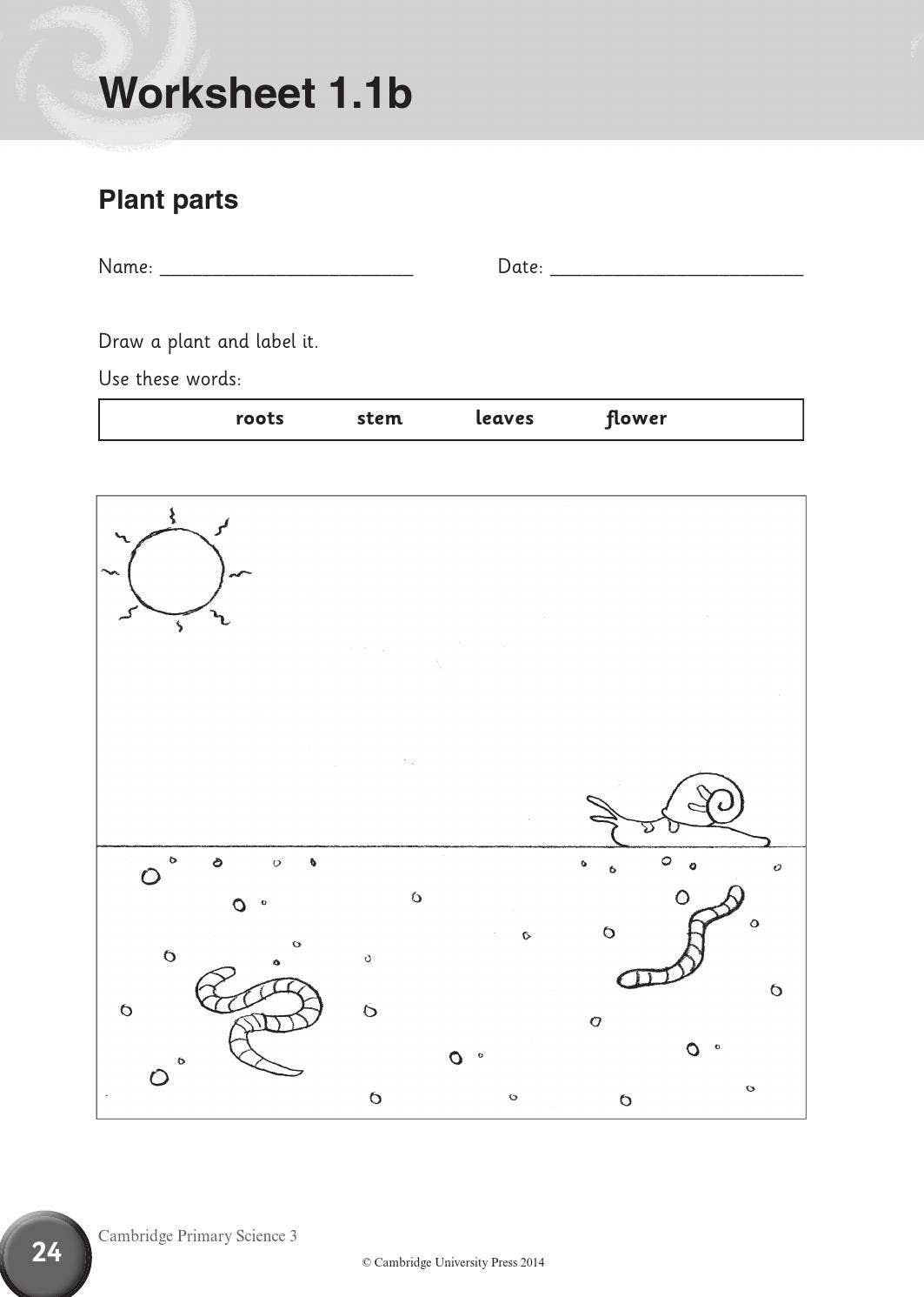 Cambridge Primary Science Teacher's Resource Book 3 with CD-ROM by ...