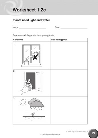 Cambridge Primary Science Teacher's Resource Book 3 with CD-ROM by ...