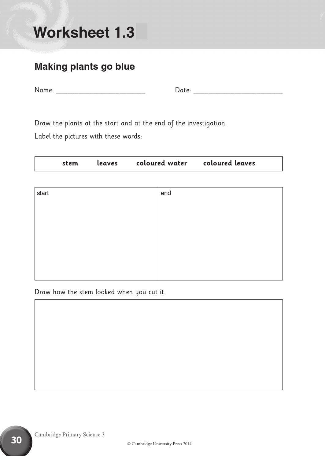 Cambridge Primary Science Teacher's Resource Book 3 with CD-ROM by ...