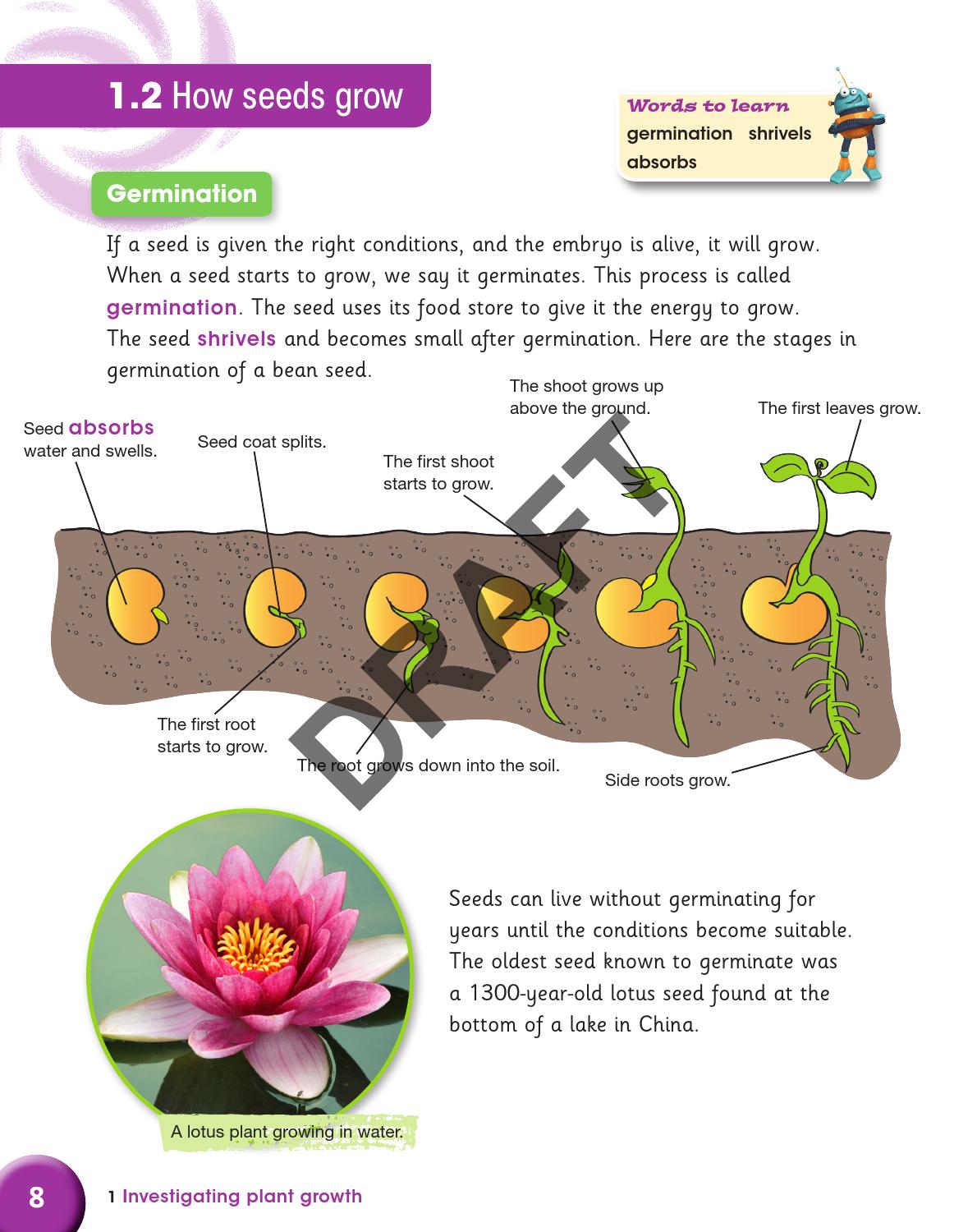 Cambridge Primary Science Learner's Book 5 by Cambridge International ...