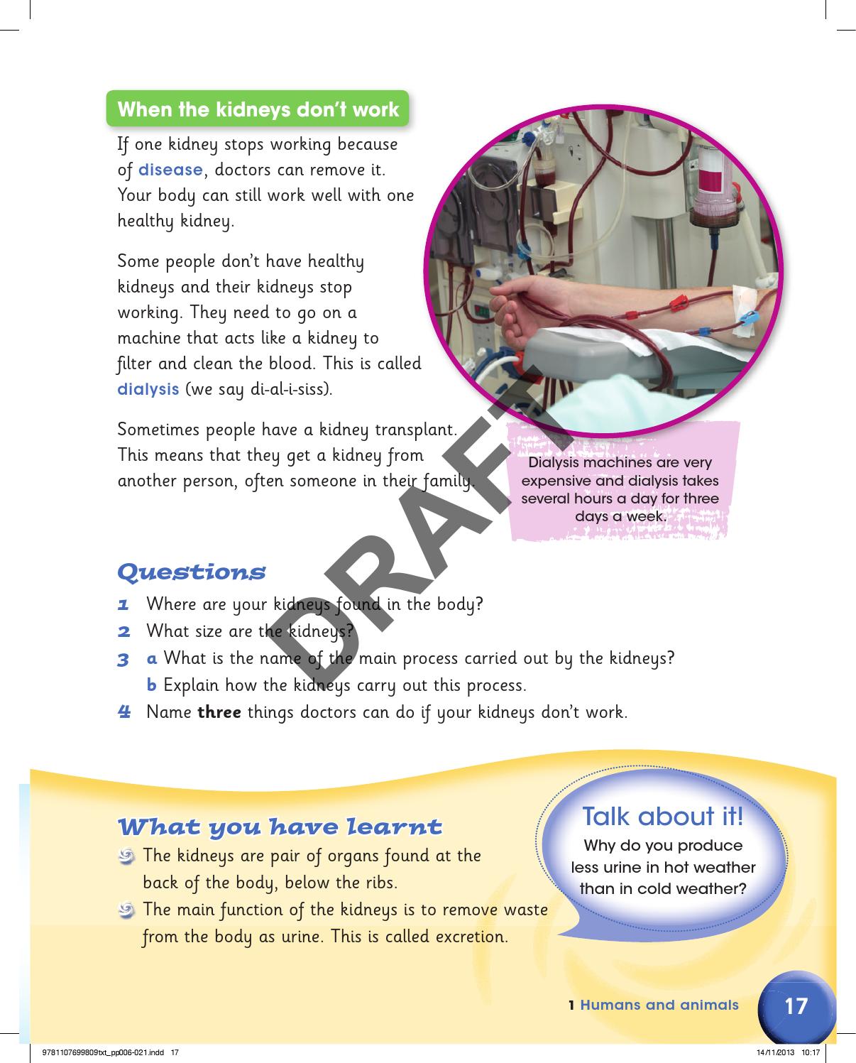 Cambridge Primary Science Learner's Book 6 by Cambridge University ...