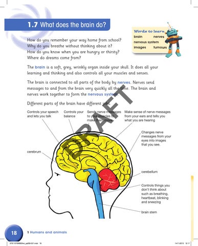 Cambridge Primary Science Learner's Book 6 by Cambridge International ...