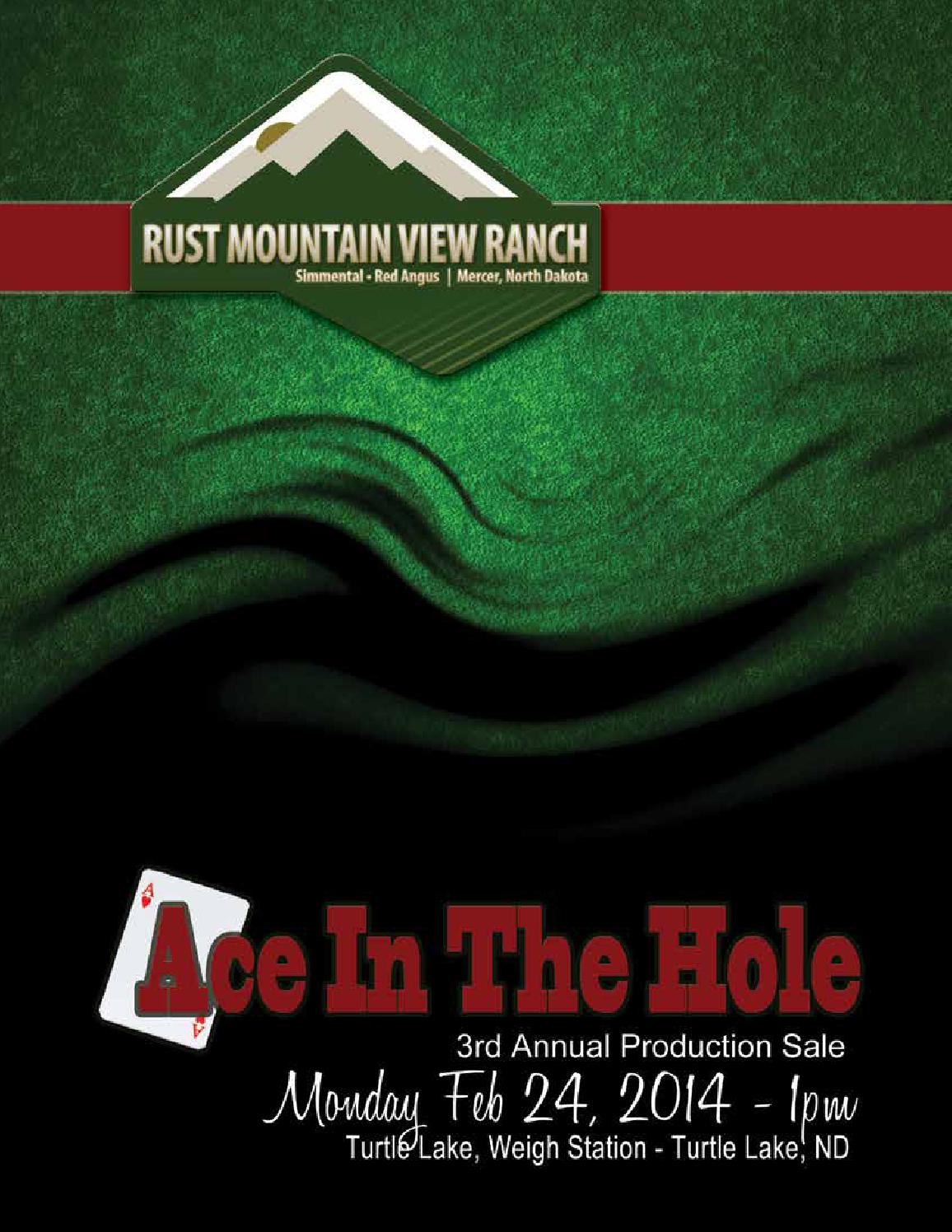 Rust Mountain View Ranch's 3rd Annual Ace in the Hole Bull Sale by Cam ...