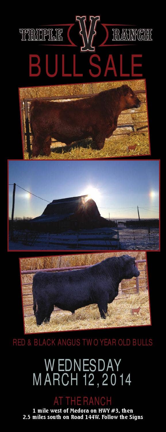Triple V Ranch 2014 Bull Sale Catalogue by Today's Publishing Inc. - Issuu