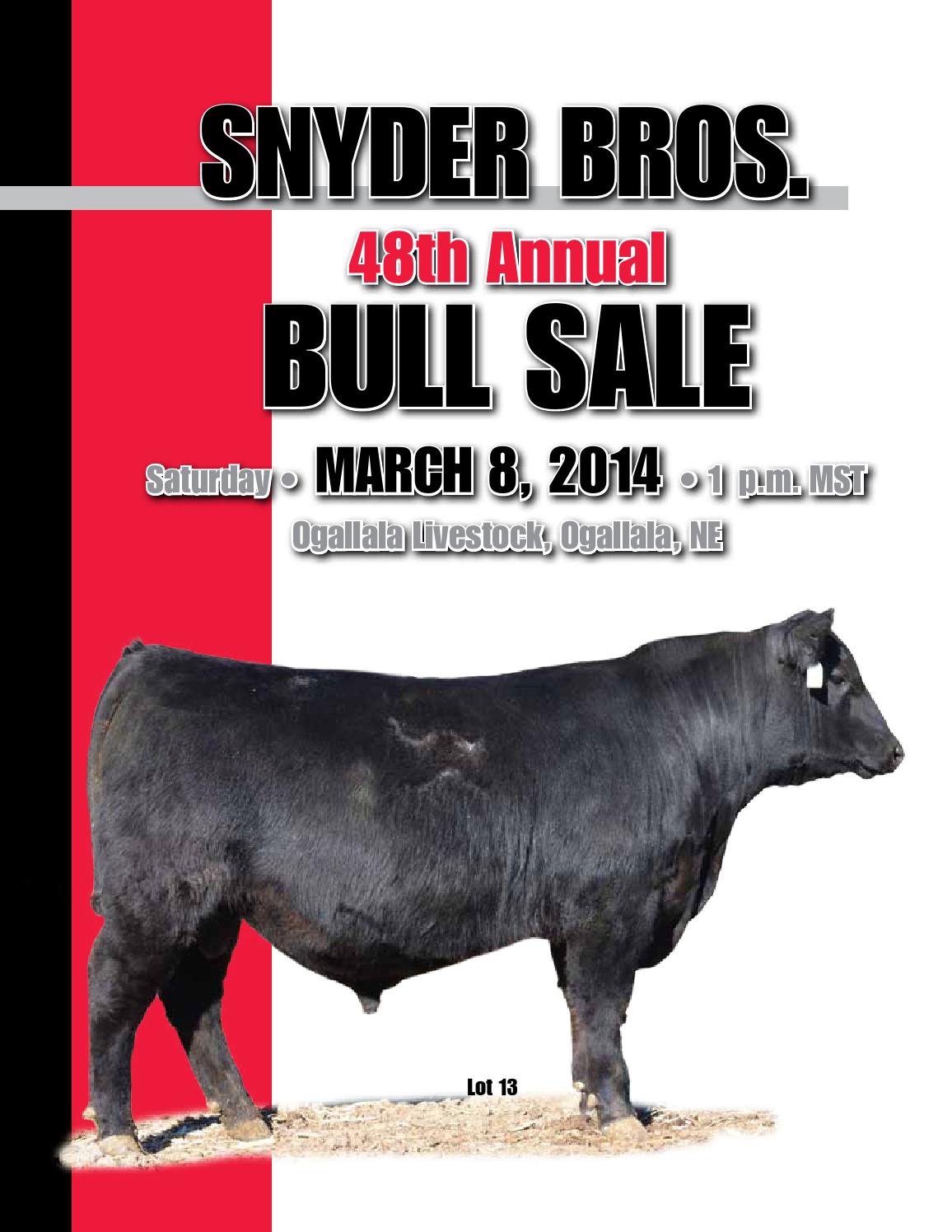 Snyder Bros. by Gail Lombardino, Homestead Graphics - Issuu