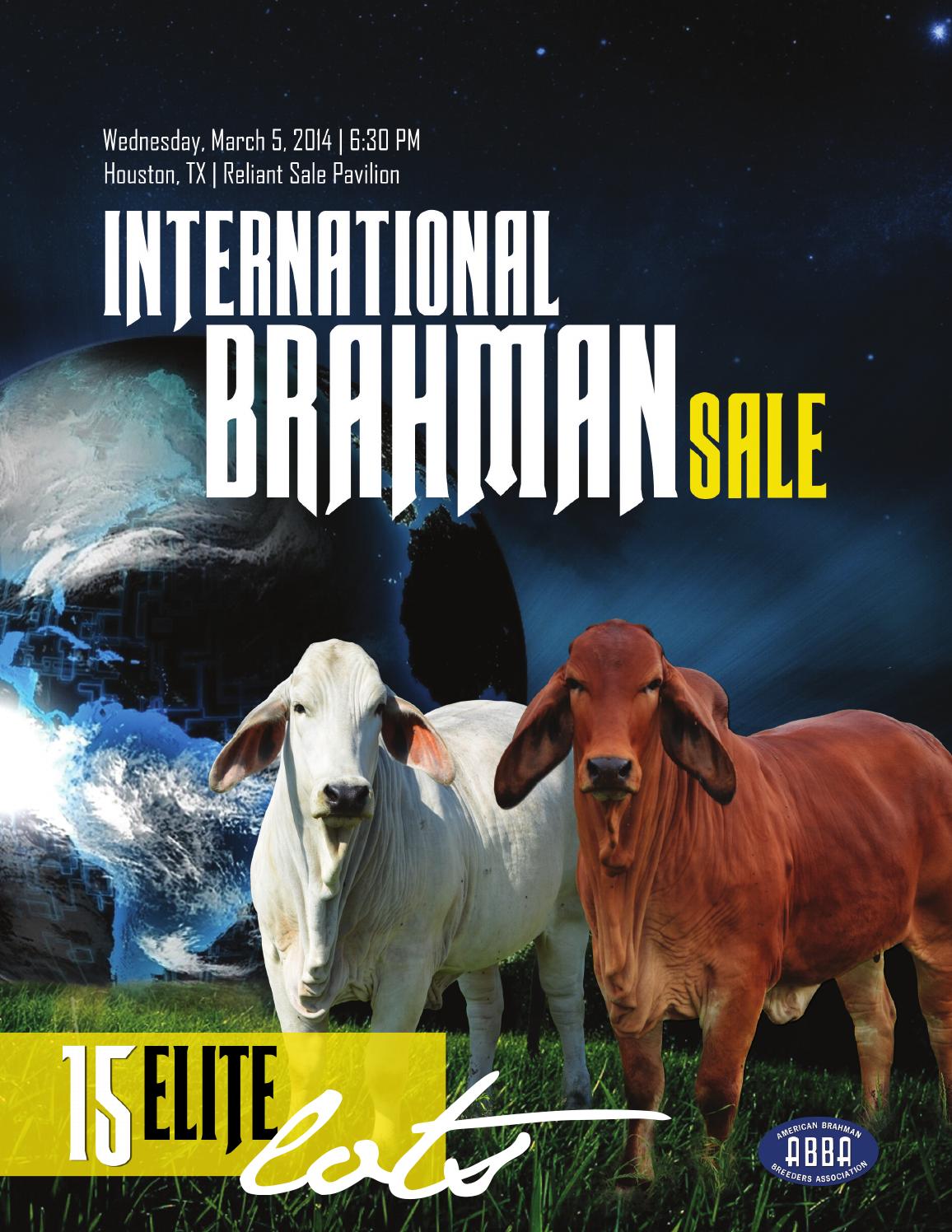 Brahman International Sale Catalog 2014 by Cedar Hills Media ...