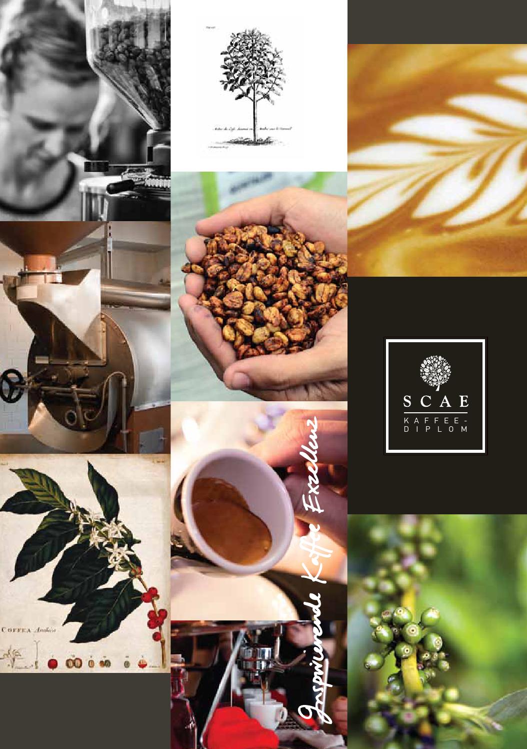 SCAE Coffee Diploma System by Blasercafé - Issuu