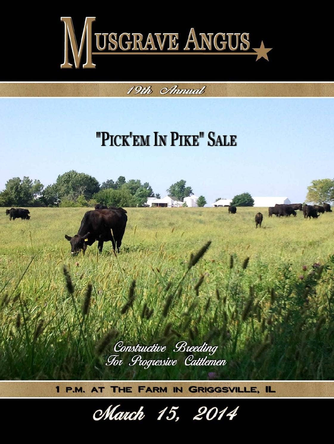 Musgrave Angus - 19th Annual Pick Em In Pike Sale by LivestockDirect ...