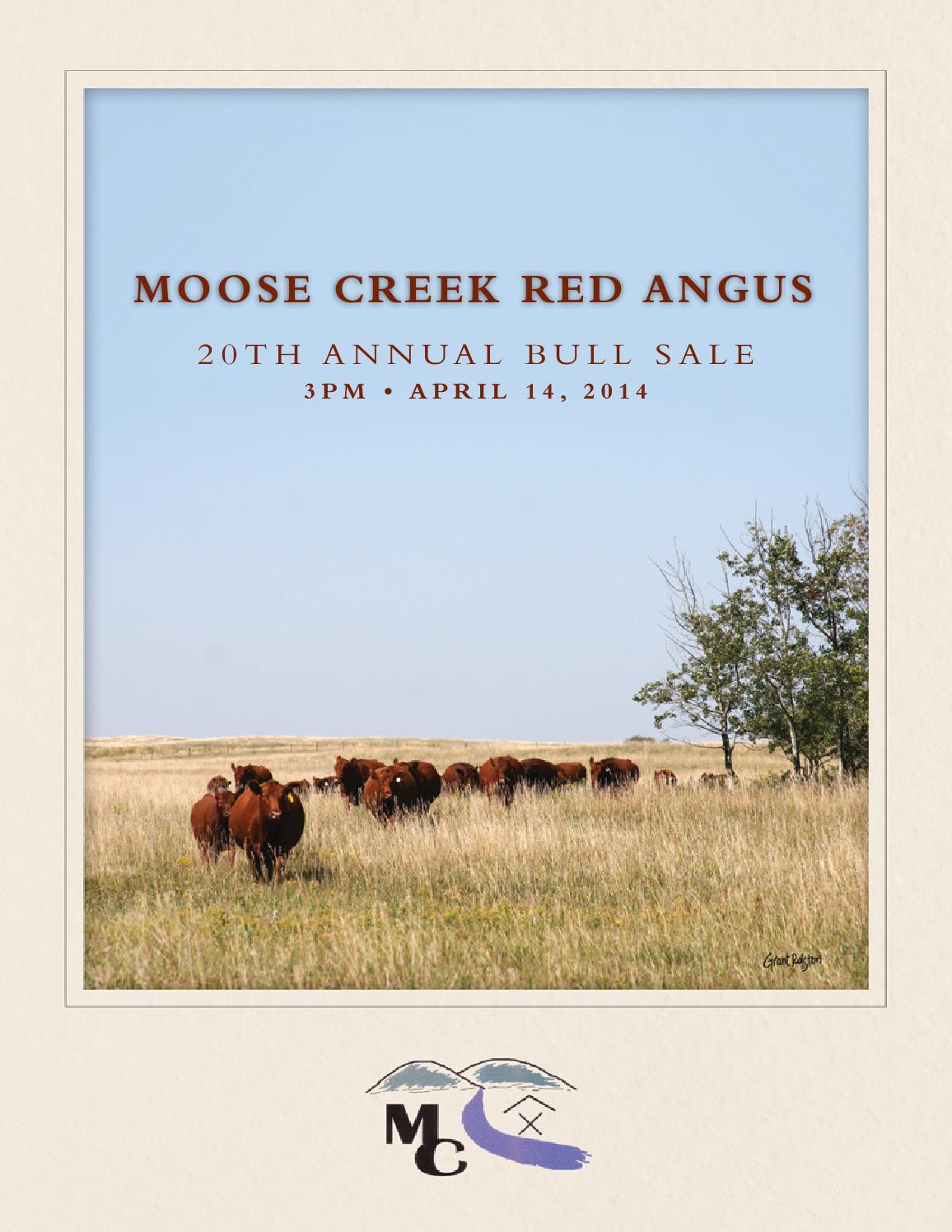 Moose Creek Red Angus 20th Annual Bull Sale by Today's Publishing Inc ...