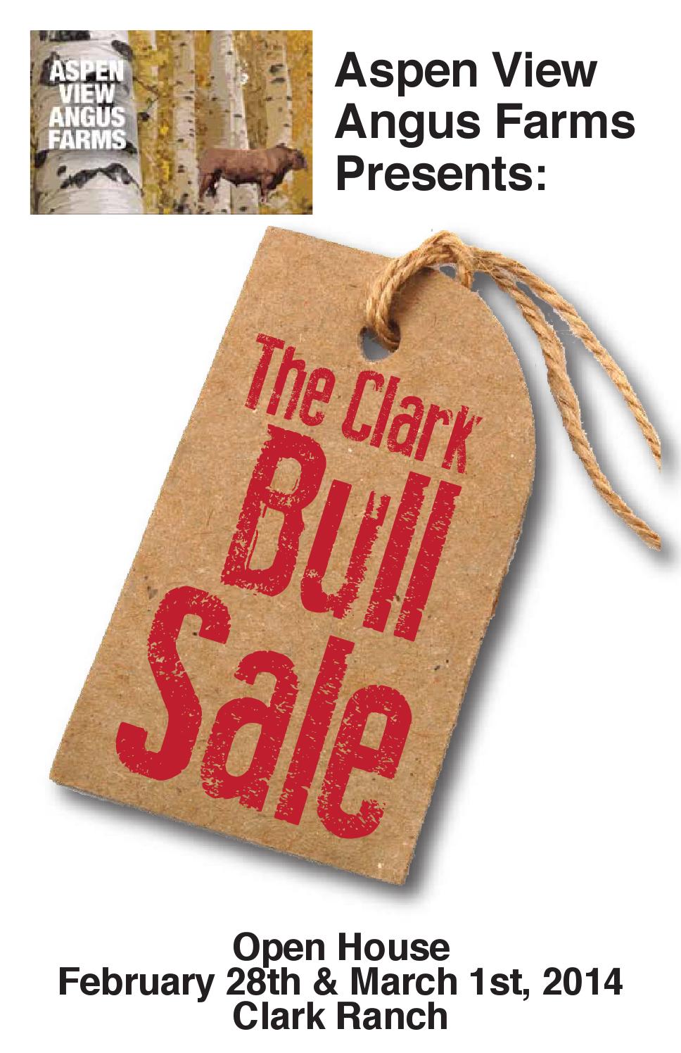 Aspen View Farms Open House Bull Sale 2014 by Everything Angus - Issuu