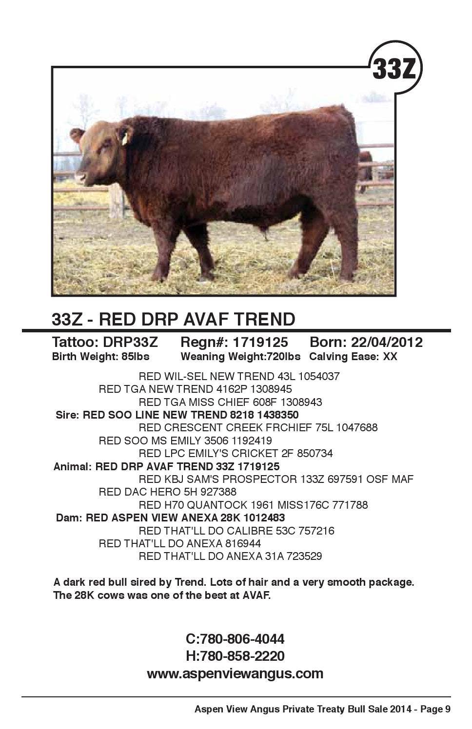 Aspen View Farms Open House Bull Sale 2014 by Everything Angus - Issuu