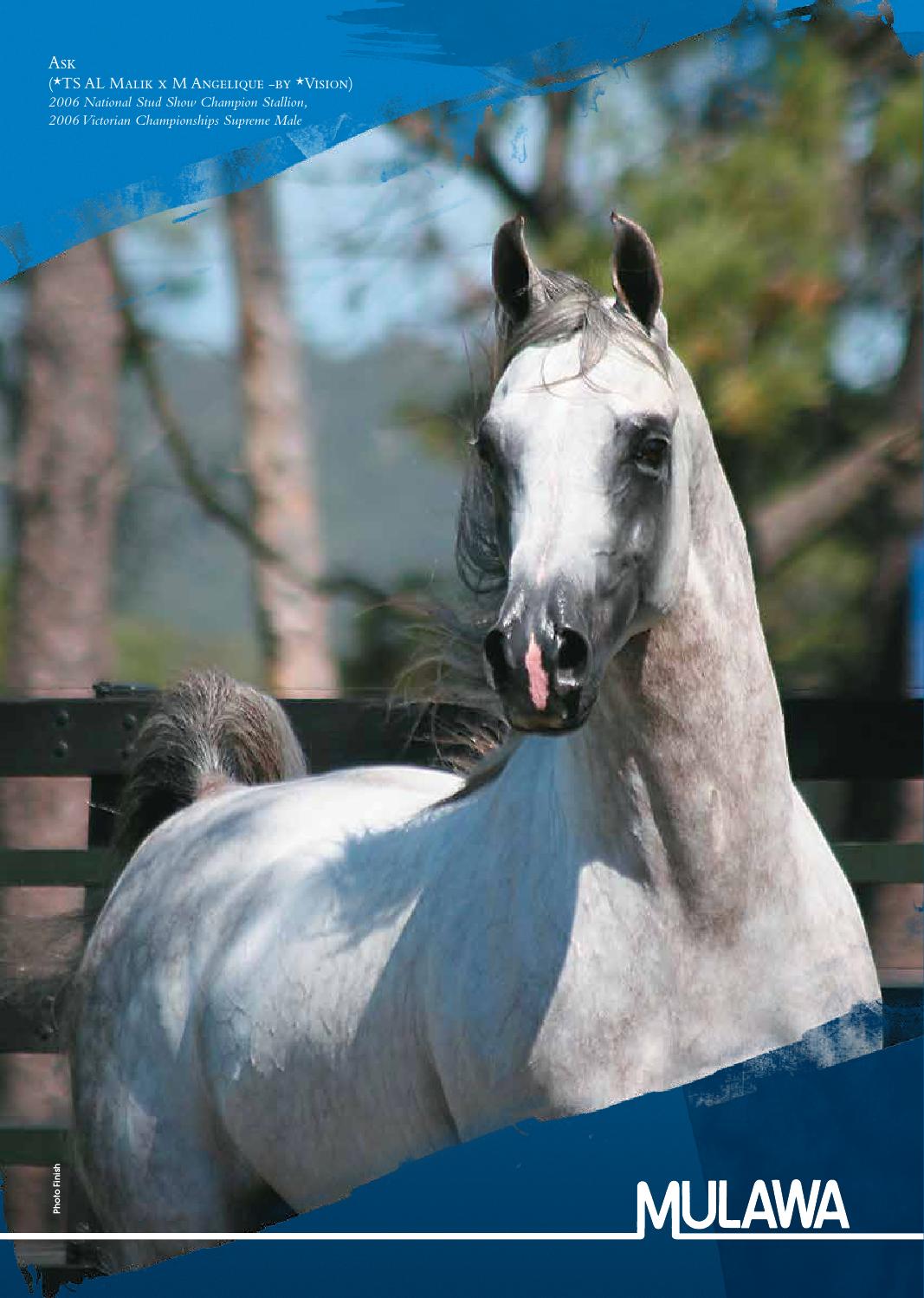 Mulawa eBook_2008 by Vink Publishing - Issuu