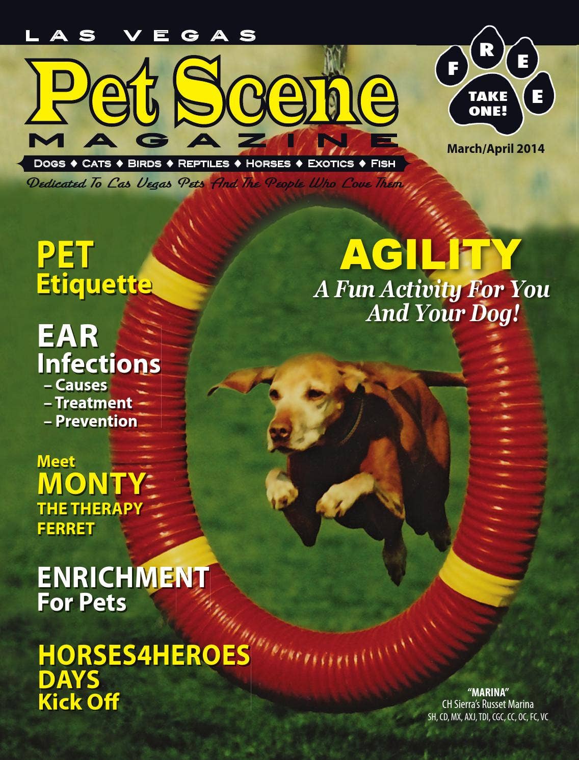 Las Vegas Pet Scene Magazine - March/April 2014 by Homes Illustrated/LV ...