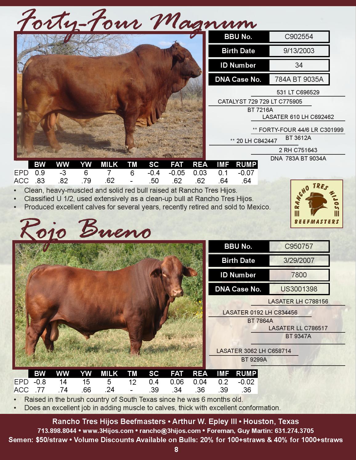2014 Beefmaster International Semen & Embryo Directory by Beefmaster ...