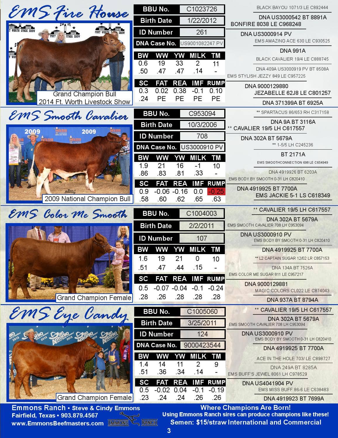 2014 Beefmaster International Semen & Embryo Directory by Beefmaster ...