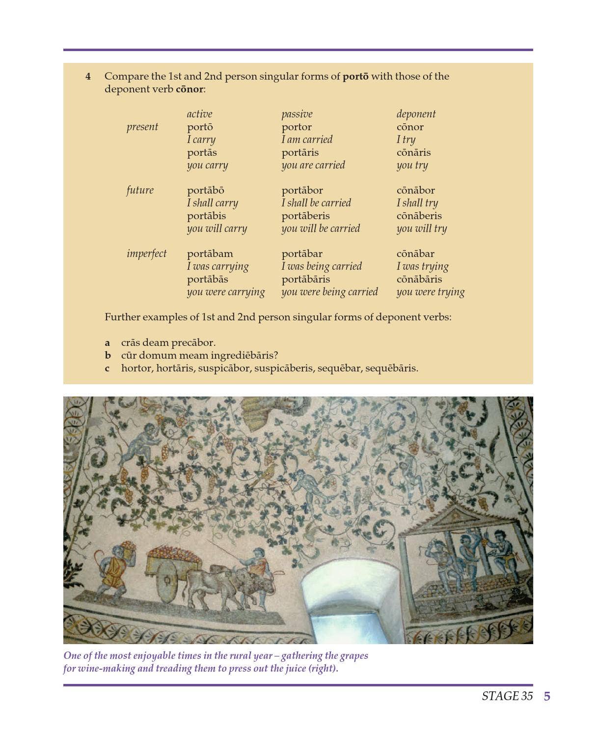 Cambridge Latin Course Book V (fourth edition) by Cambridge ...